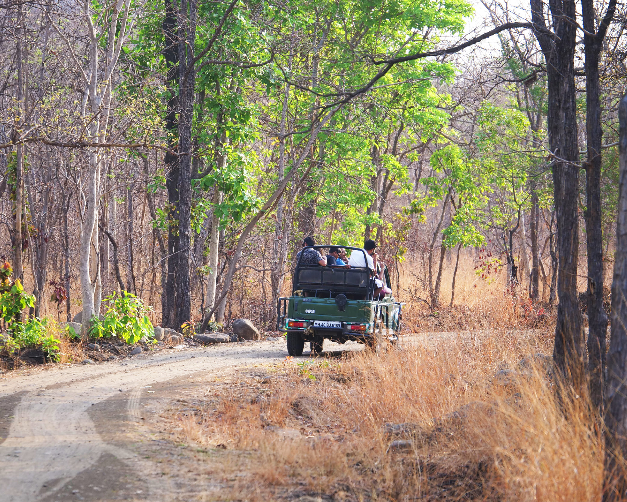 Tipeshwar Safari